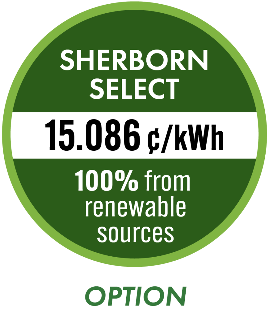 Options and Prices - MassPowerChoice.com